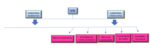 Sistema Financeiro Nacional: resumo da estrutura do SFN