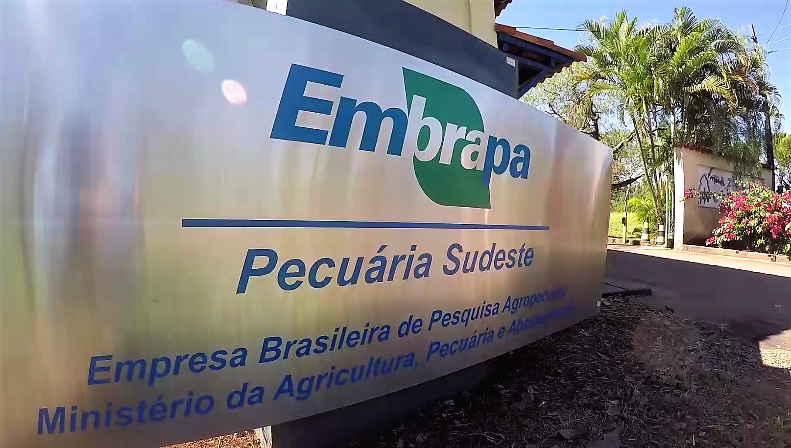 Como foi o último concurso da Embrapa?