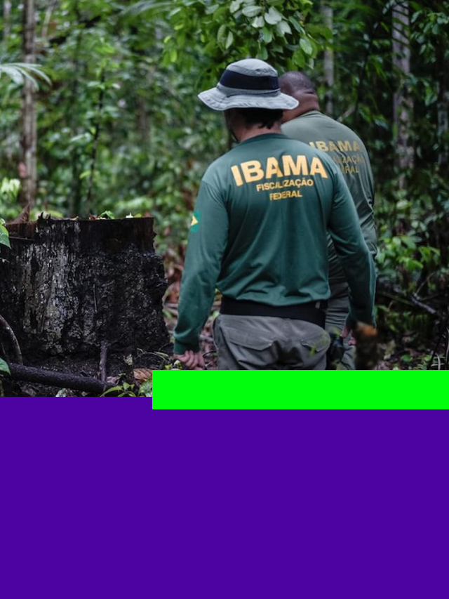 Concurso IBAMA: DF lidera vagas para Analista Administrativo