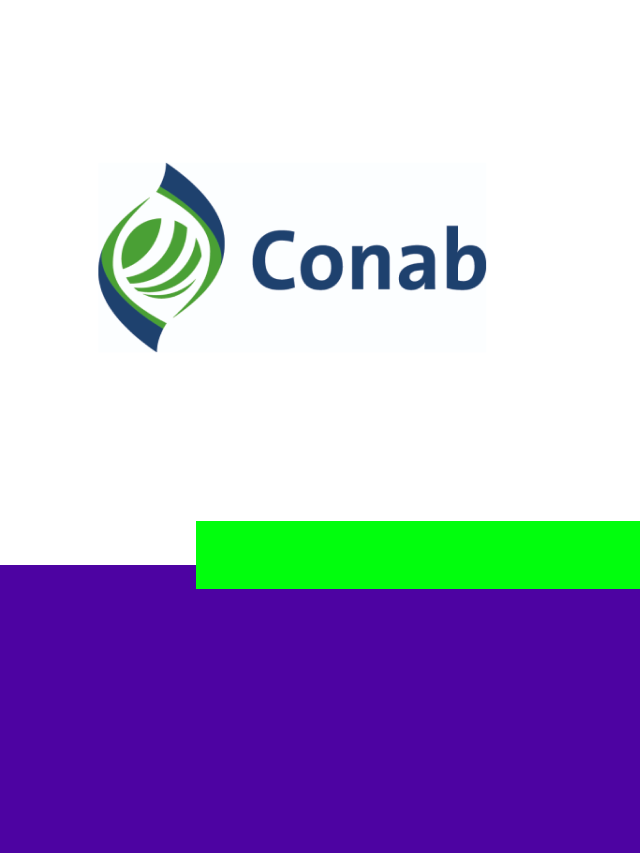 EDITAL IMINENTE! Confira os detalhes sobre o concurso Conab